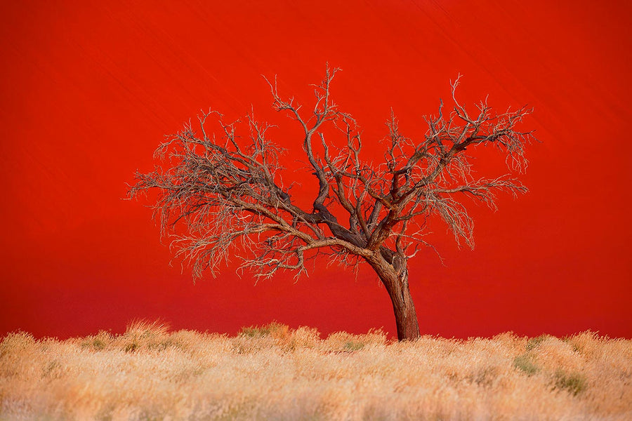 Rabinowitz Photography | Limited Edition Photographs X Adam Rabinowitz