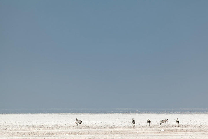 Rabinowitz Photography | Limited Edition Photographs X Adam Rabinowitz