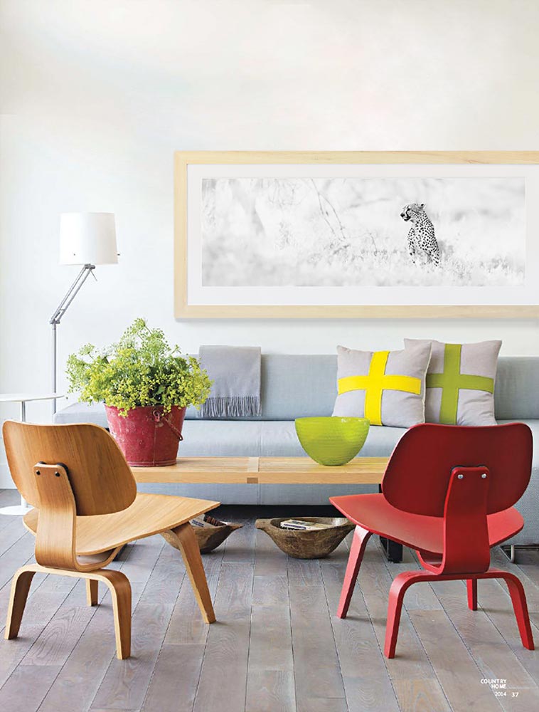 Wildlife Panoramas – Rabinowitz Photography