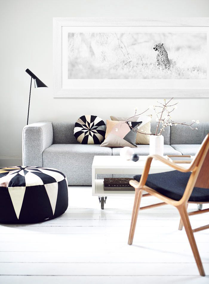 Wildlife Panoramas – Rabinowitz Photography