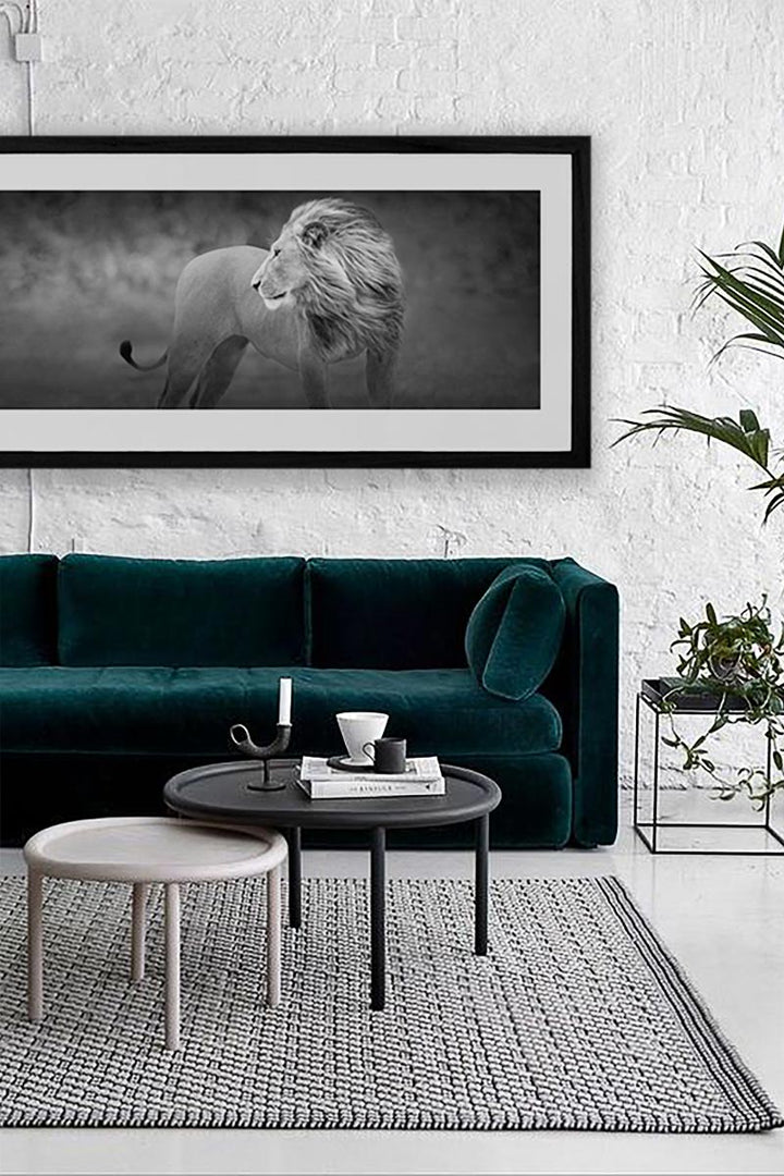 Rabinowitz Photography | Limited Edition Photographs X Adam Rabinowitz