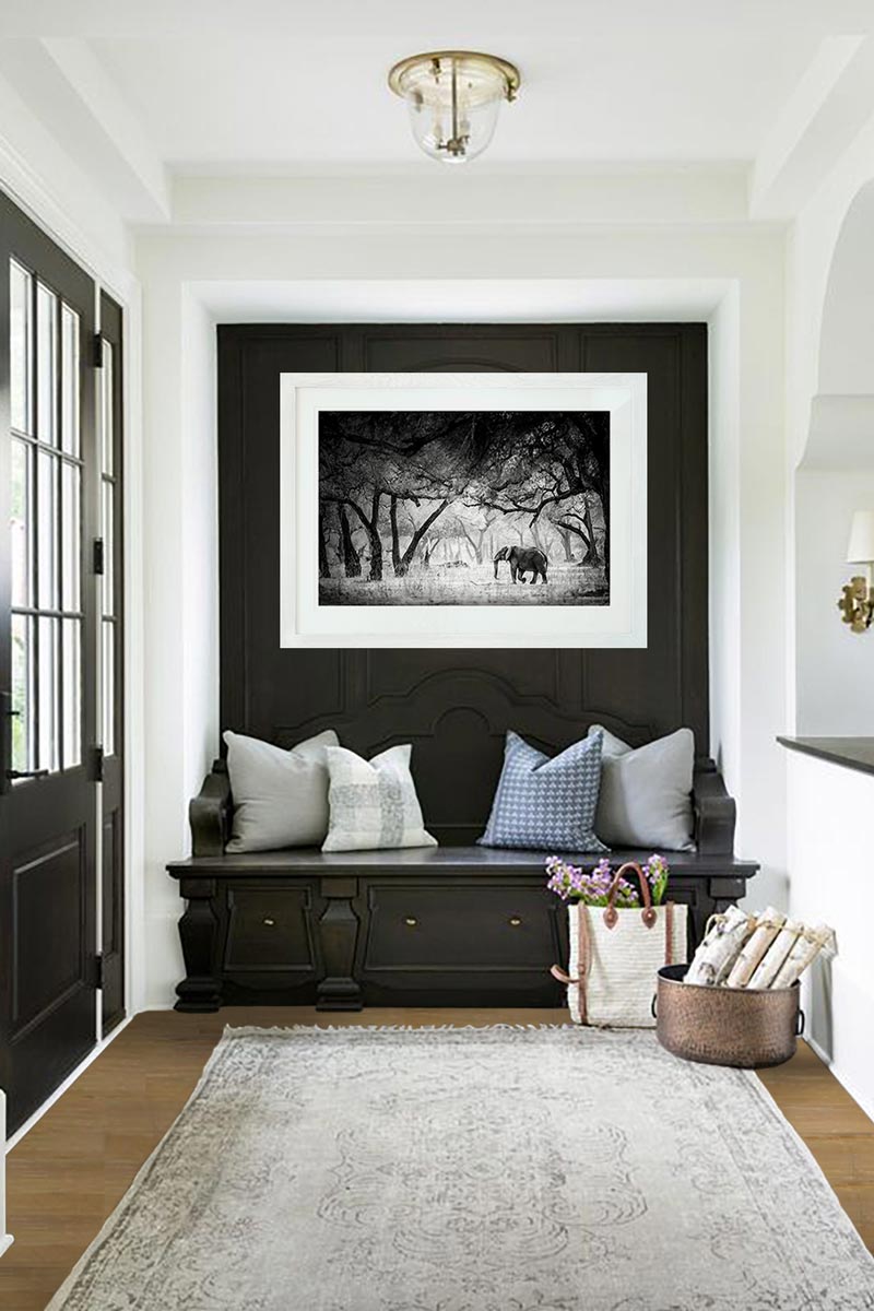 Rabinowitz Photography | Limited Edition Photographs X Adam Rabinowitz