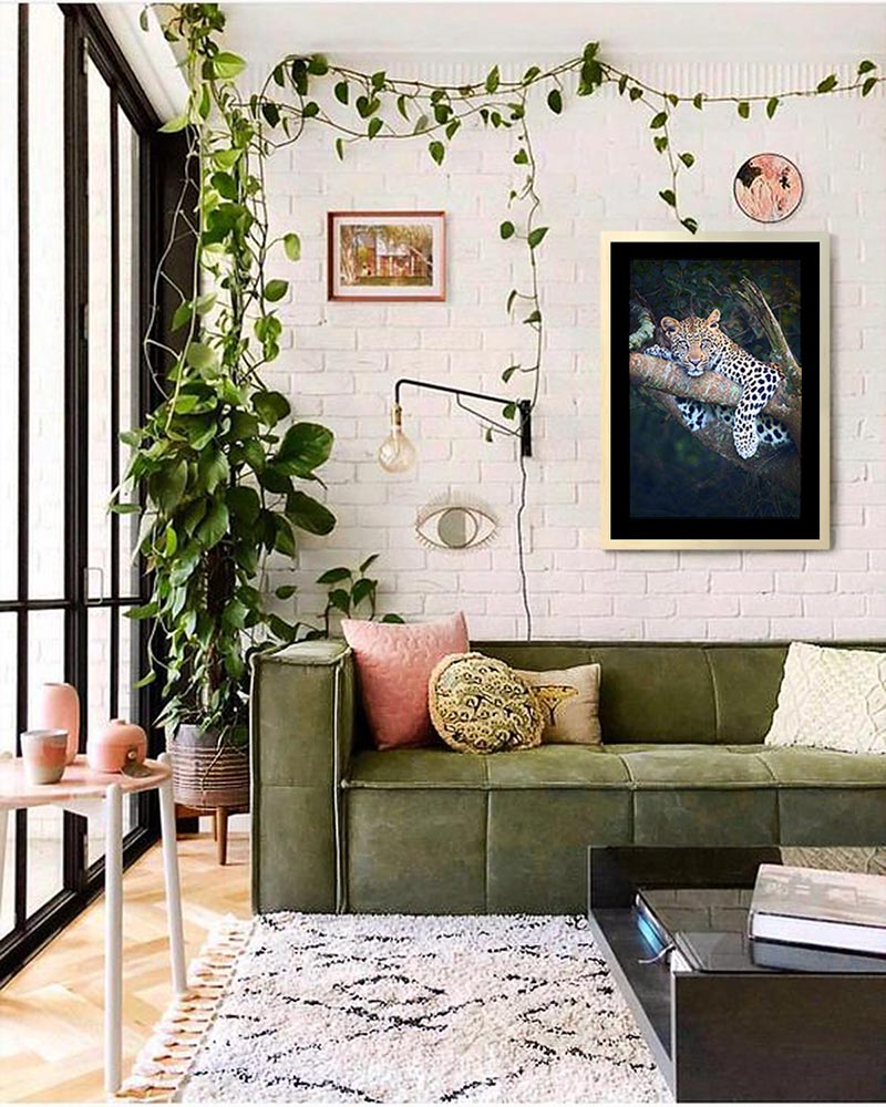 Wildlife in Color – Rabinowitz Photography