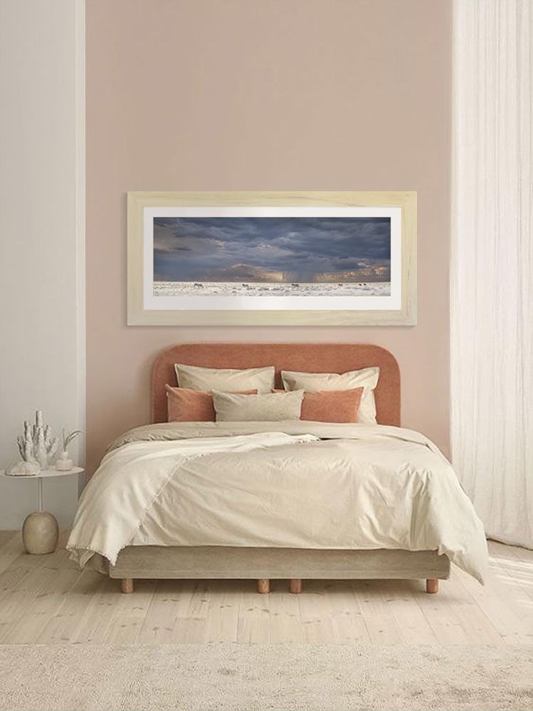 Wildlife in Color – Rabinowitz Photography