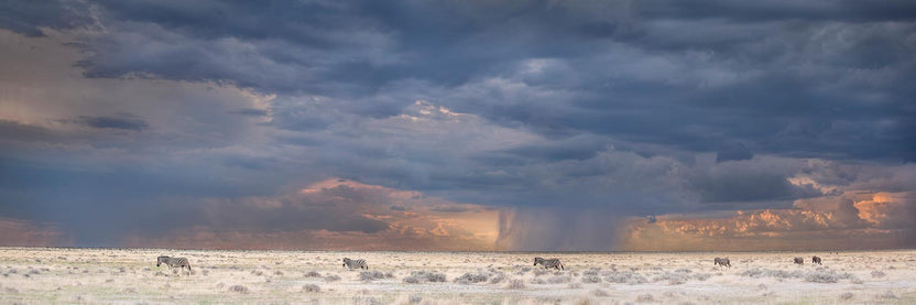 Rabinowitz Photography | Limited Edition Photographs X Adam Rabinowitz