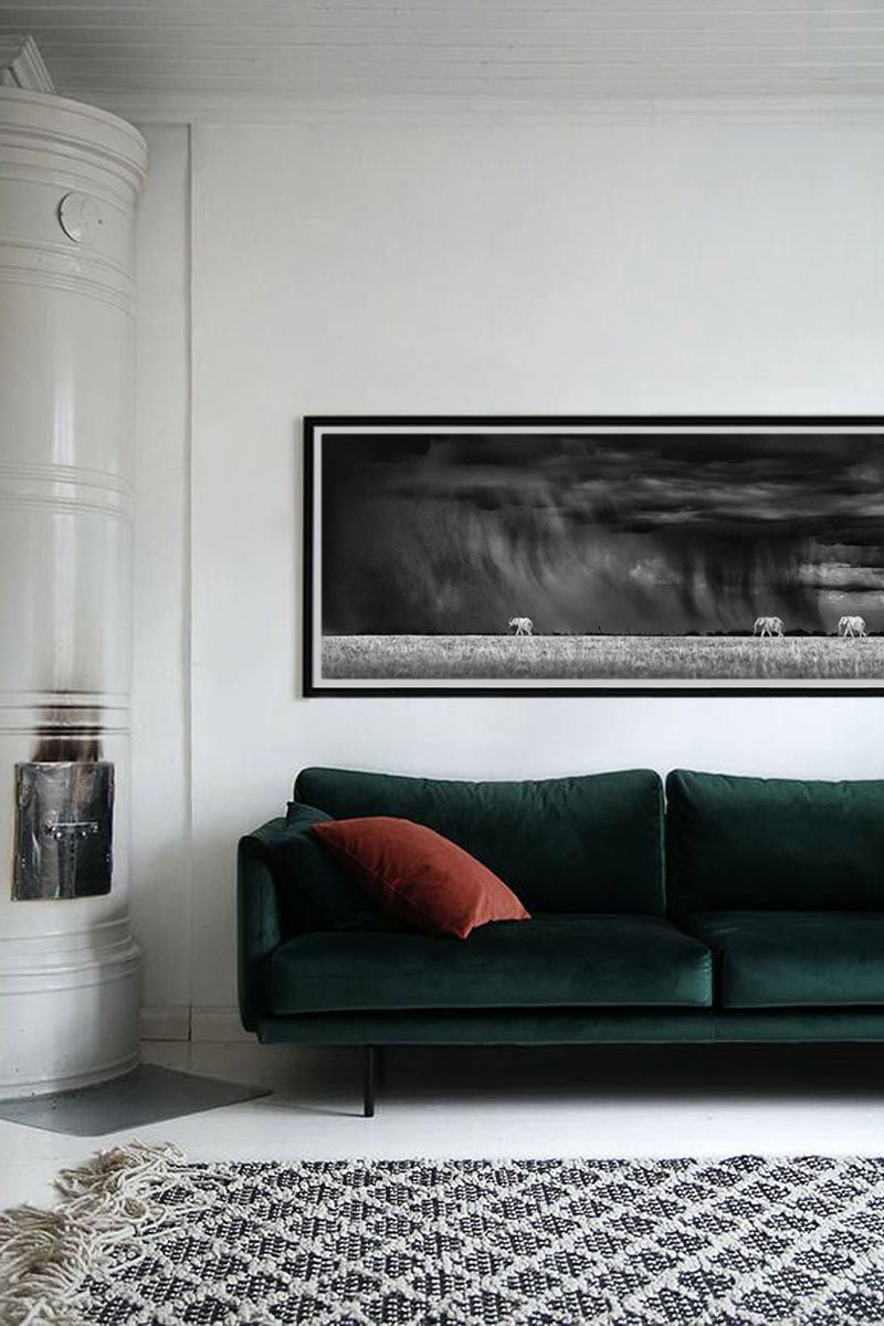 Rabinowitz Photography | Limited Edition Photographs X Adam Rabinowitz