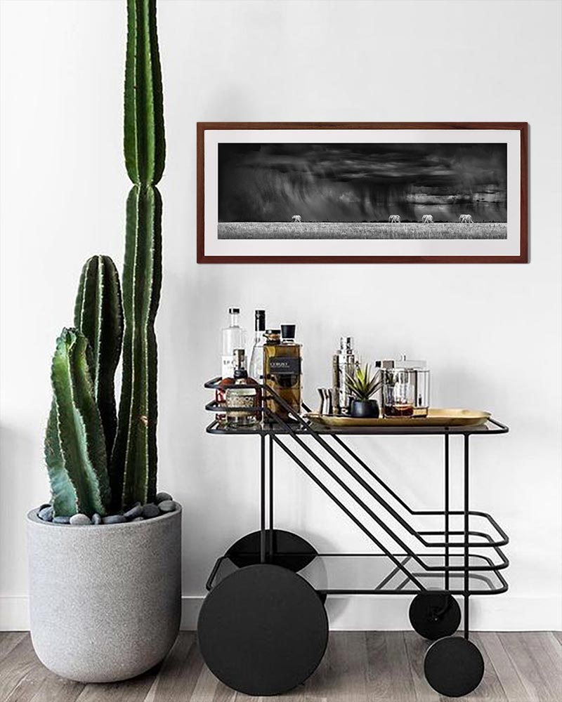 Wildlife Panoramas – Rabinowitz Photography