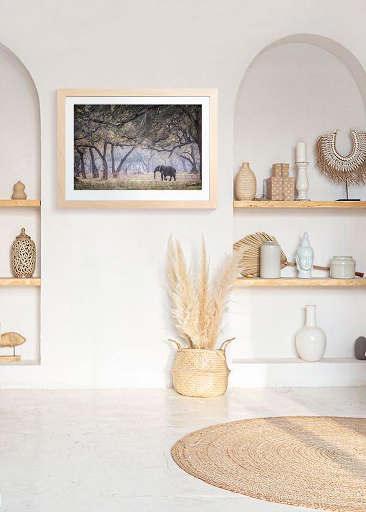 Wildlife in Color – Rabinowitz Photography