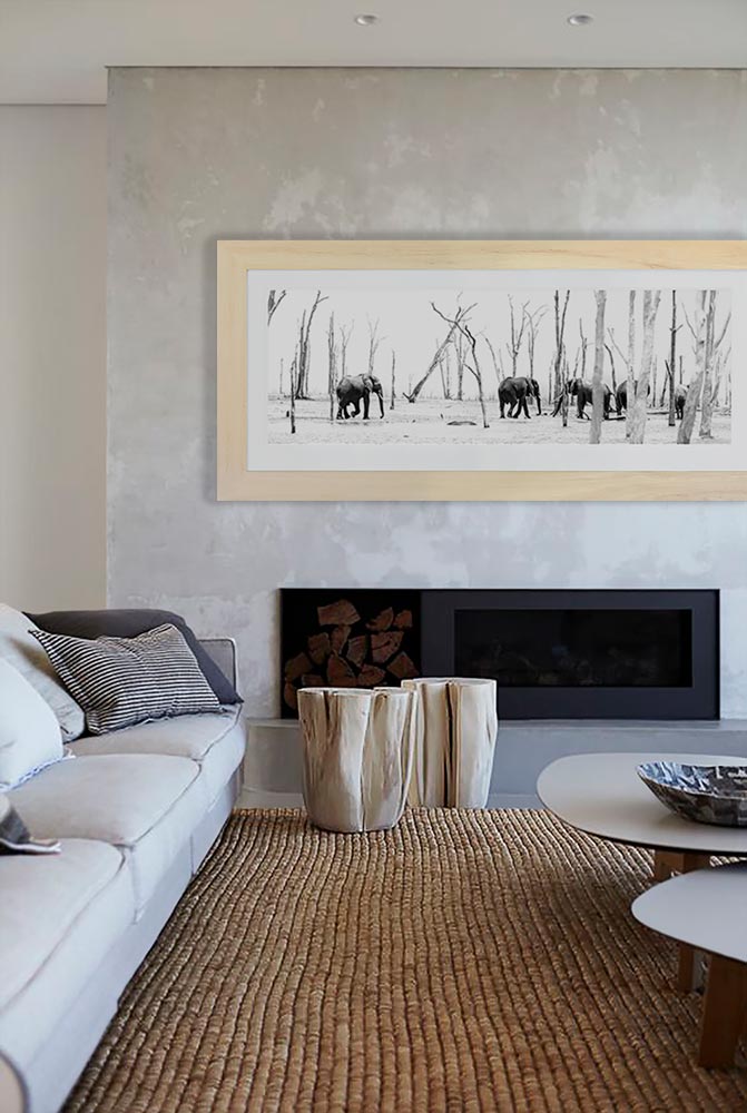 Wildlife Panoramas – Rabinowitz Photography