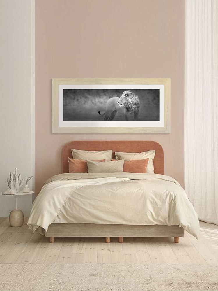 Wildlife Panoramas – Rabinowitz Photography