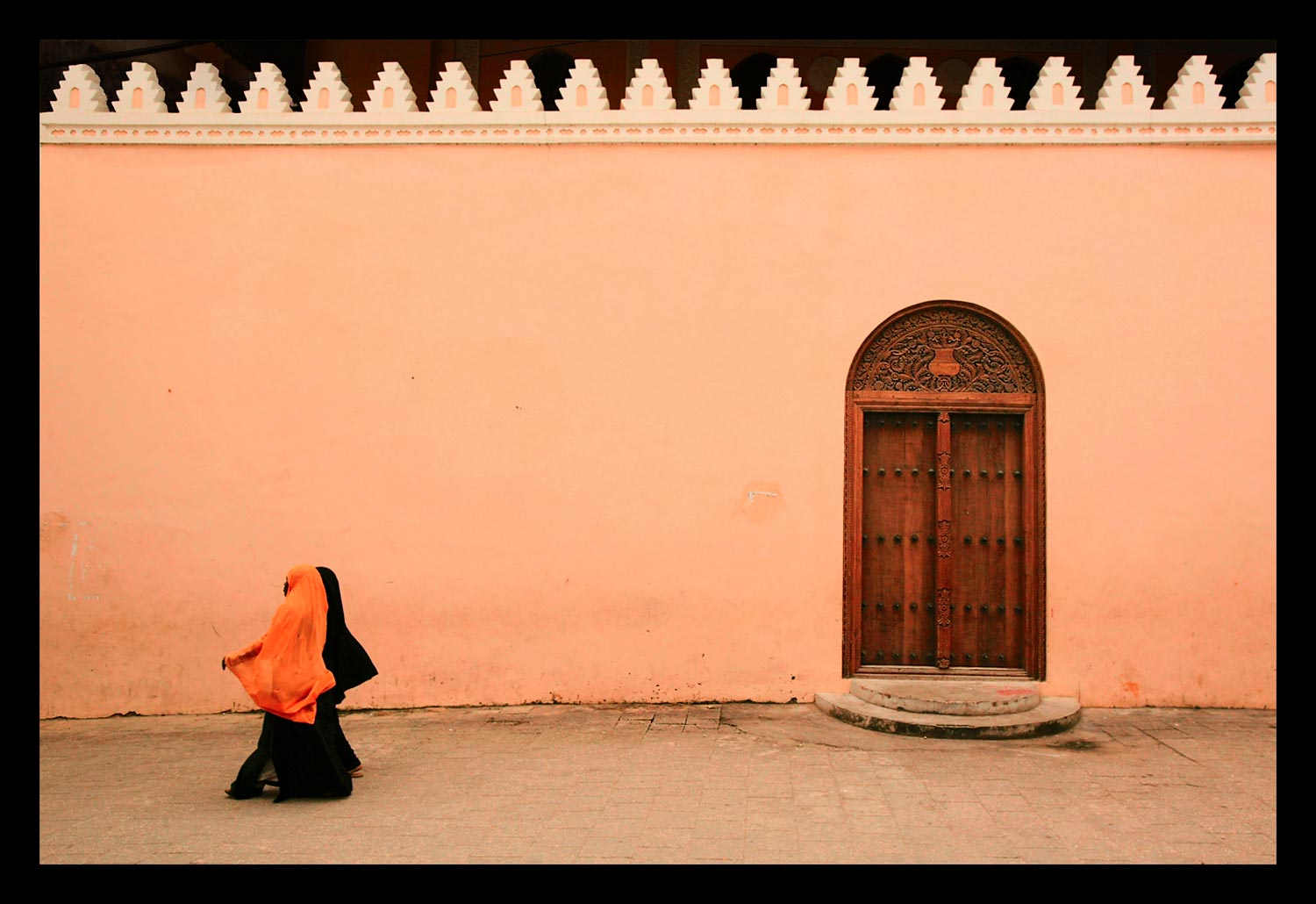 Coral Shadow - Limited Edition Photograph – Rabinowitz Photography