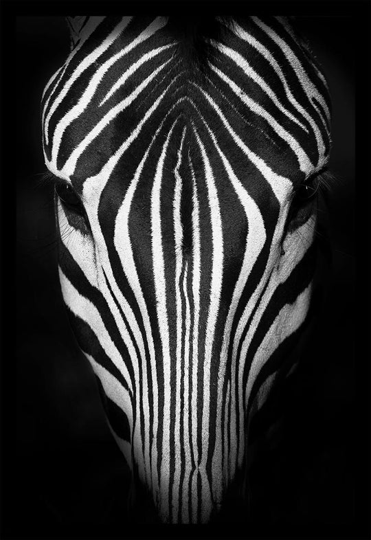 Rabinowitz Photography | Limited Edition Photographs X Adam Rabinowitz