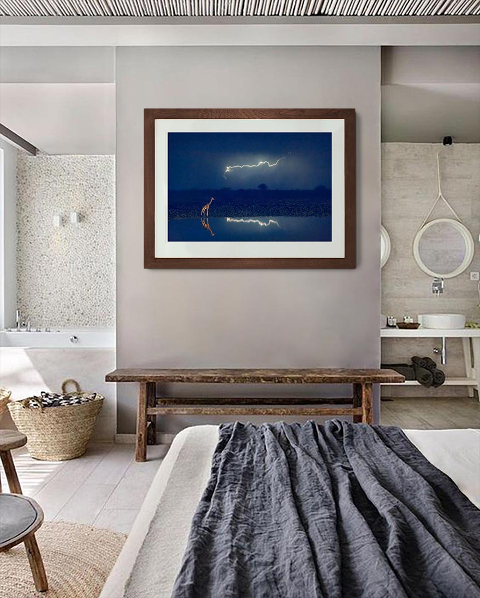 Light Pulse - Limited Edition Photograph – Rabinowitz Photography