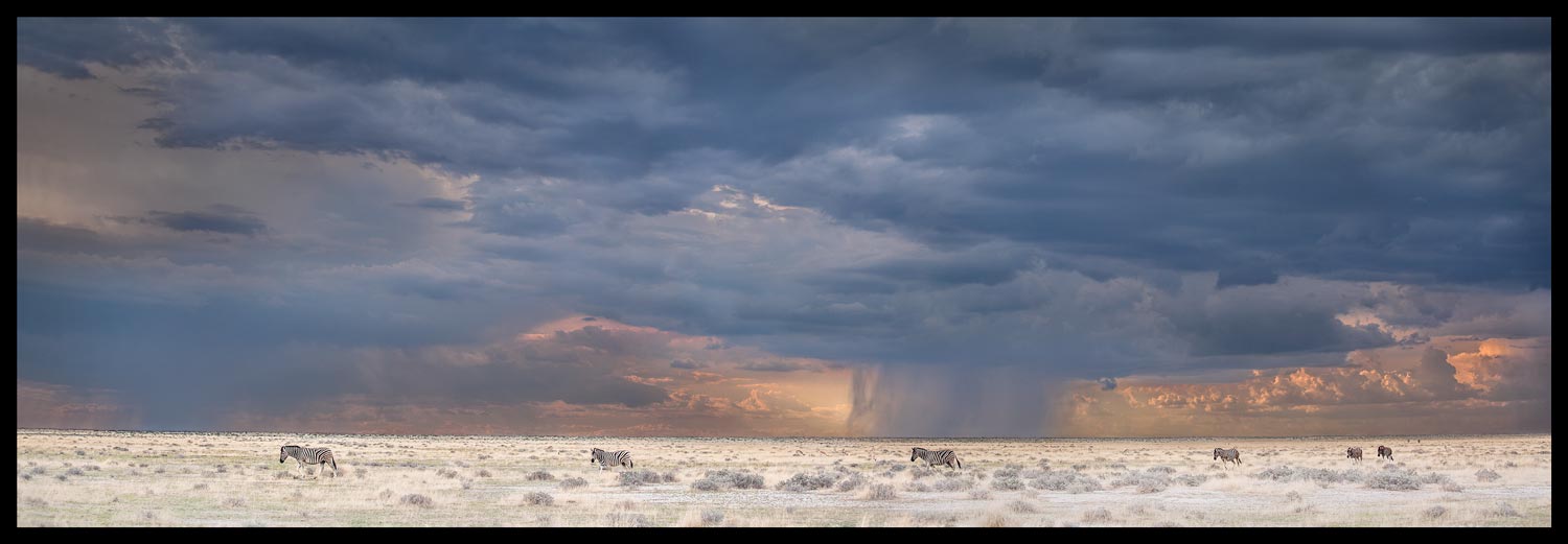 New Life - Limited Edition Photograph – Rabinowitz Photography